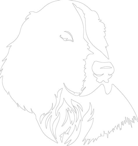 English Springer Spaniel Outline Silhouette 38494271 Vector Art At Vecteezy
