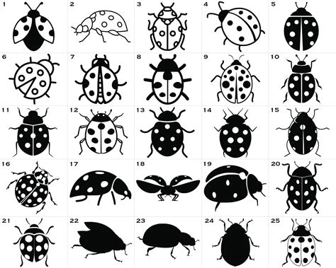 Lady Bug Svg Lady Bugs Svg Ladybug Svg Bundle Love Bug Svg Ladybug Clipart Dragonfly