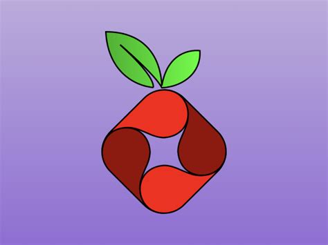 Raspberry Pi Guides Little Bird Guides
