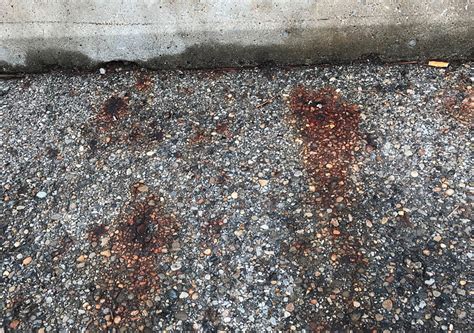 Handling Rust In Asphalt Prior To Sealcoating STAR The Experts In Sealcoating
