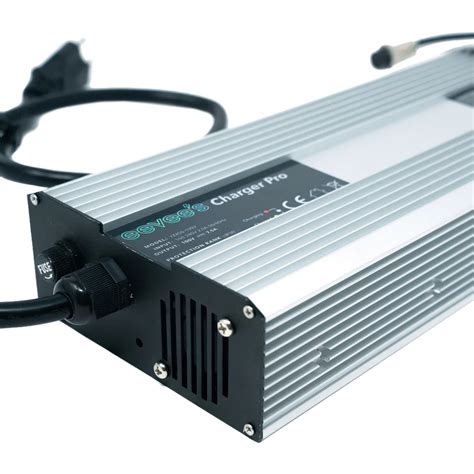 Euc Accessories Eevees