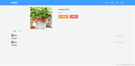 Python Vue商城购物网站源码vue购物网站 Csdn博客
