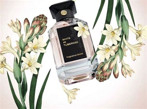 Fragrance World White As Tuberose ᐈ Магазин с косметикой Myoriginal