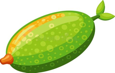 A Vibrant Vector Illustration Of Finger Lime Fruit Highlighting Its Unique Texture Vivid Color