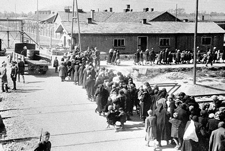 Auschwitz Album Wikipedia