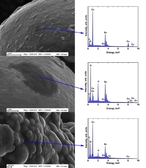 Qualitative SEM EDX Analyses Of The Features On The Surface Of Download Scientific Diagram