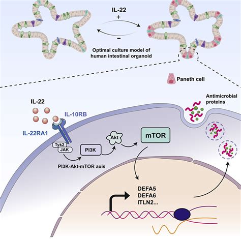 生物研究专区 【39】 生物谷