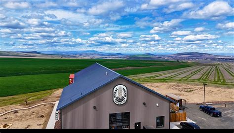Wheat Head Brewing Co All You Should Know Before Going 2026 With
