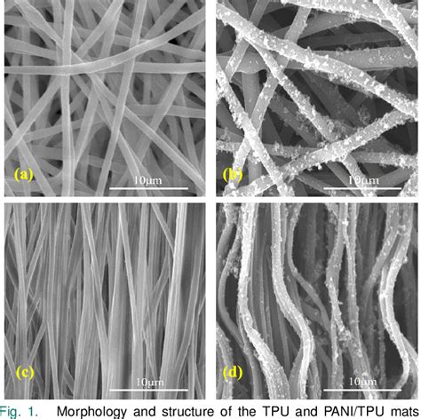 Figure 1 From A Flexible Pressure Sensor With Parallel Fiber Structure For Wireless Capsule