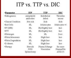Lymphoma Multiple Myeloma ITP TTP DIC HSP Flashcards Quizlet