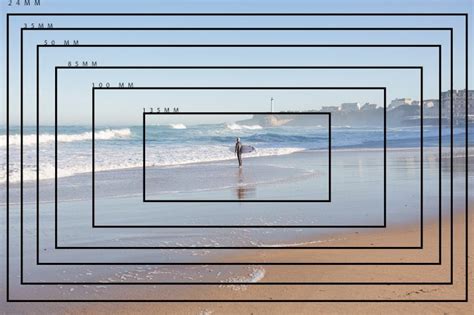 11 Types Of Lenses Explained Camera Lenses Explained Types Of Cameras Dslr Photography Tips