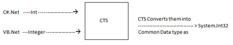 What Is Common Type System CTS
