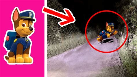 7 Paw Patrol Captados En CÁmara Y Vistos En La Vida Real Youtube