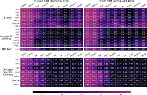 Scgreat Transformer Based Deep Language Model For Gene Regulatory Network Inference From Single