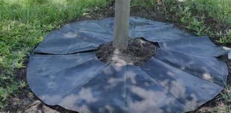 TreeDiaper Smart Watering Mat For Caliper Trees Ecoturfmidwest