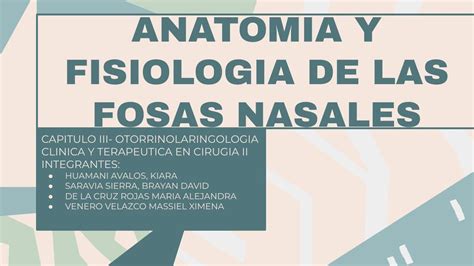 Anatomía Y Fisiología De Las Fosas Nasales Kiara Huamaní Avalos Udocz
