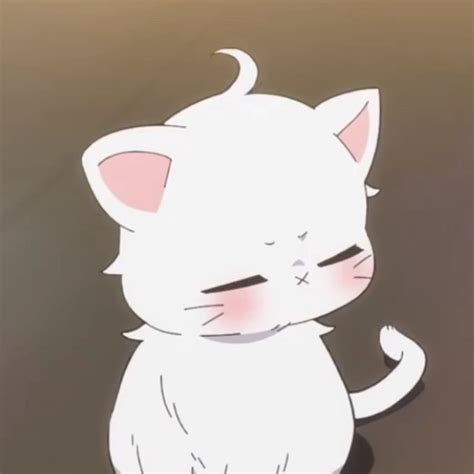 Hakutou My New Boss Is Goofy Cat Icon Low Quality Silly Anime