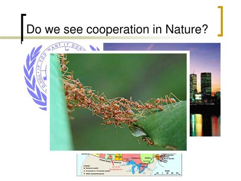 Ppt Evolution Of Cooperation Powerpoint Presentation Free Download Id3938931