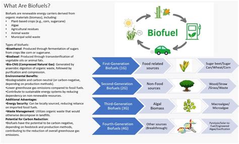 Biofuels Sustainable Path To Energy Security And Mobility Through