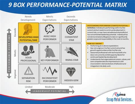9 Box Performance Potential Matrix Ahmad Zaeem