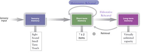 PSYC 144 WEEK 2 Flashcards Quizlet PSYC 144 WEEK 2 Flashcards Quizlet