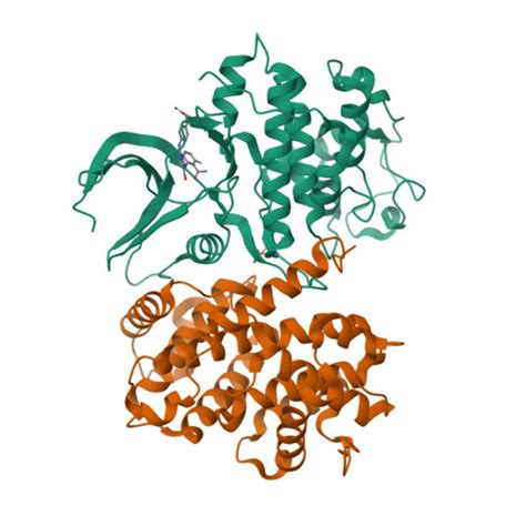 RCSB PDB - 7MKX: Crystal Structure Analysis of human CDK2 and CCNA2 complex