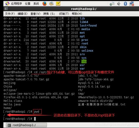 linux相对路径与绝对路径 用相对路径和绝对路径的方法从主目录进入子目录 csdn博客