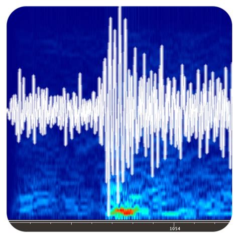 Free Seismic Waveform Analysis Waves Earth Sciences