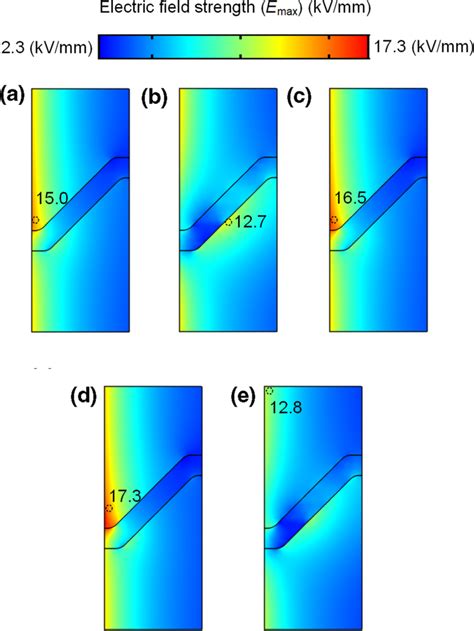 Electric Field Distributions Under Dc‐negsi Condition At Δt 0°c