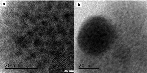 Figure 2 From Fluorescence Determination Of Glutathione Using Tissue