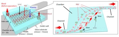Particle Size Dependent Component Separation Using Serially Arrayed