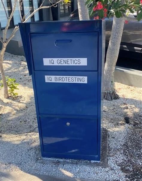 Iqbirdtesting Avian Dna Bird Analysis Dna Sexing For Birds