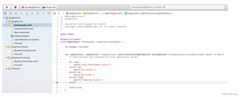 如何设置xcode Debug Release Test Dev 等模式xcode Debug模式 Csdn博客