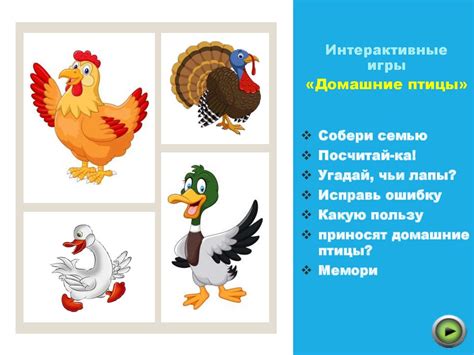 Интерактивные игры «Домашние птицы» - online presentation