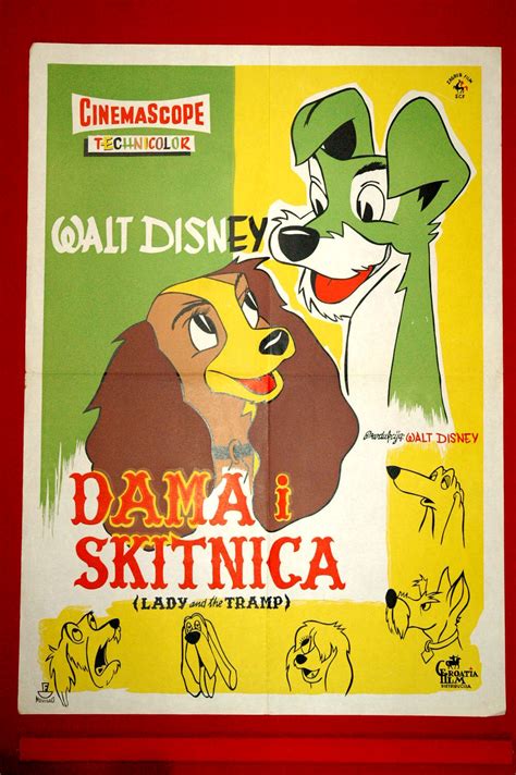 La Dama Y El Vagabundo