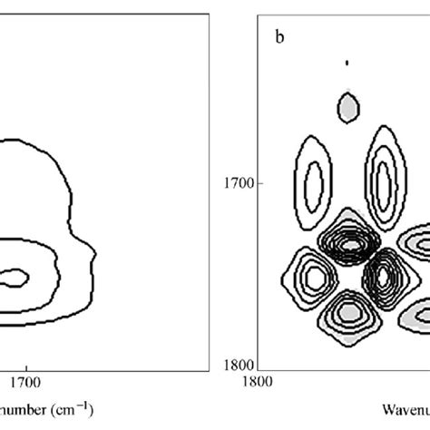 A Synchronous And B Asynchronous 2d Correlation Contour Maps Of