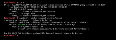 bug rvice may start before cos setup network · issue 696