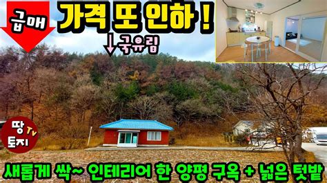 마지막 가격인하 양평 국유림 아래 자리잡은 힐링 전원주택 내부 싹~ 전체 리모델링한 구옥 급매물 양평1억대전원주택 싼구옥 저렴한구옥 텃밭주말주택 소액주택 소형