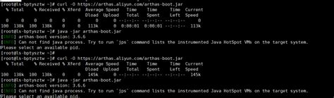 Can Not Find Java Process Try To Run `jps` Command Lists The