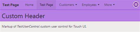 Code On Time Touch UI Appearance Page Header
