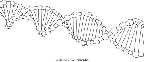 Dna String Vector 01 Stock Vector Royalty Free 37538659 Shutterstock