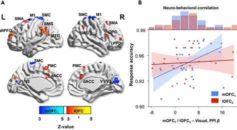 Functional Specialization Of Medial And Lateral Orbitofrontal Cortex In Inferential Decision