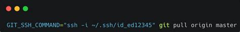 Specify The Private Ssh Key To Use When Executing Shell Command On Git