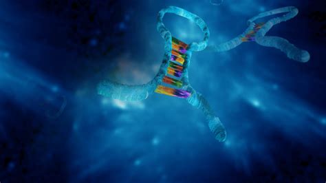 Mirna The Simple Way With Ncounter Technology Nanostring