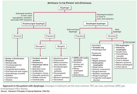 Dysphagia Classification