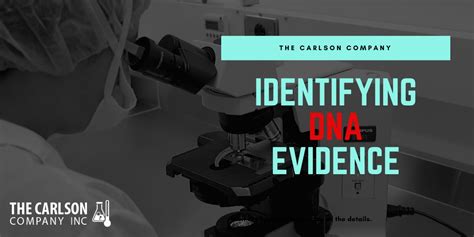 Dna Evidence How Identifying Evidence With Dna Analysis