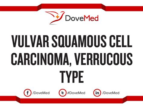 Vulvar Squamous Cell Carcinoma Verrucous Type