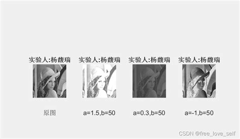 河南大学数字图像处理 图像的基本运算 数字图像处理突出亮部分的细节 csdn博客
