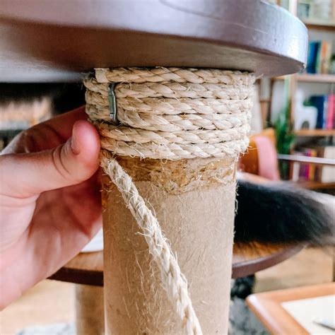 Diy Cat Scratching Post Pvc At Isabel Chelsie Blog