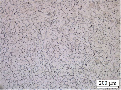 The Microstructure Of Undercooled Ni90cu10 Alloy At Undercooling Download Scientific Diagram